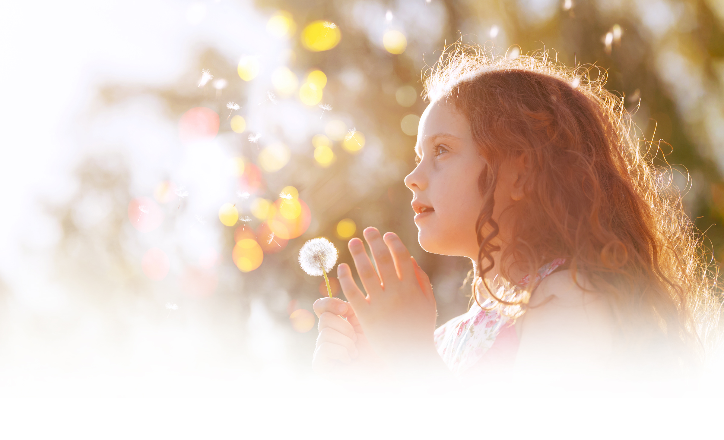 Haleigh's Hope | High-Quality Organic Oil from All Natural Ingredients